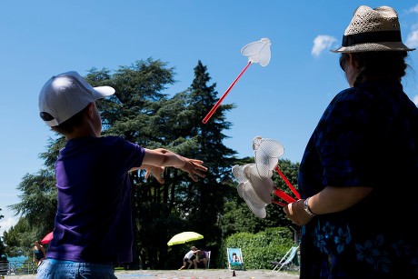 Young Participant Throws Fly Flap During Editorial Stock Photo - Stock ...