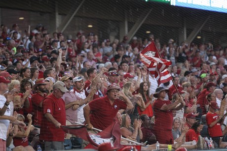 Razorback Fans Stand Cheer Following Pitching Editorial Stock Photo ...