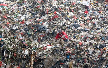 90 Plastic waste scavenger Stock Pictures, Editorial Images and Stock ...