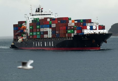 CONTAINER SHIP YM EFFICIENCY ARRIVES PORT Editorial Stock Photo - Stock Image | Shutterstock