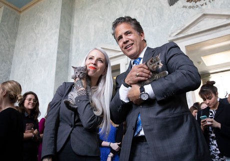 Hannah Shaw Known Kitten Lady Representative Editorial Stock Photo ...