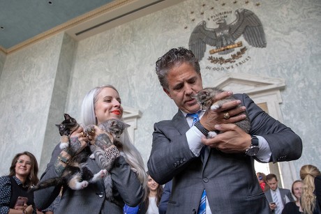 Hannah Shaw Known Kitten Lady Representative Editorial Stock Photo ...