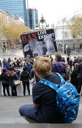 Protestors Gather On Steps Victorian State Editorial Stock Photo ...