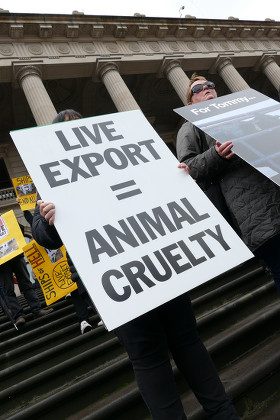 Ban Live Export Rally, Melbourne, Australia - 09 Jun 2018 Stock ...