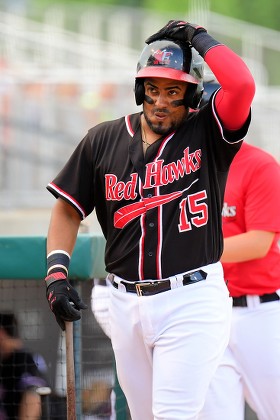 Fm Redhawks Catcher Charlie Valerio 15 Editorial Stock Photo - Stock ...