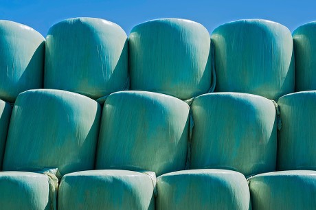 87 Bale silage Stock Pictures, Editorial Images and Stock Photos ...