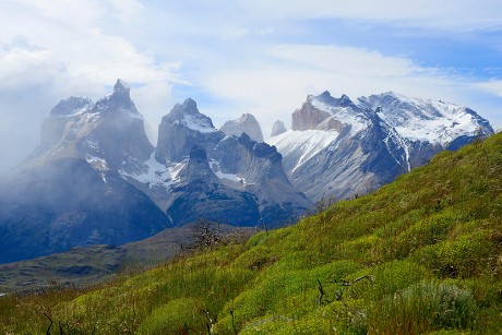 250 Cuernos Stock Pictures, Editorial Images and Stock Photos ...
