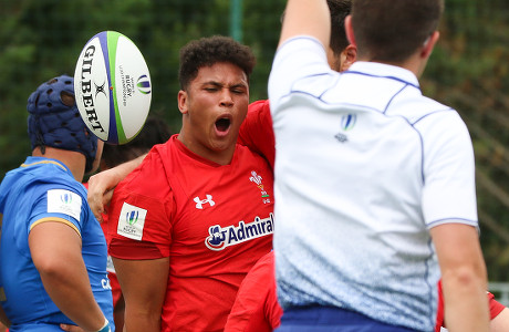 Dan Davis Wales Celebrates After Scoring Editorial Stock Photo - Stock ...