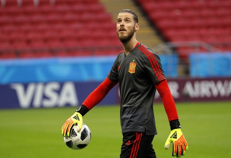 Spain National Soccer Team Goalkeeper David Editorial Stock Photo ...