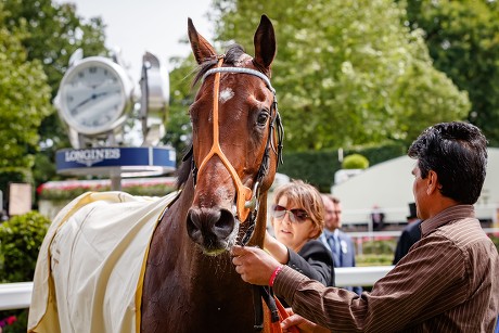 Arthur Kitt Richard Kingscote Wins Chesham Editorial Stock Photo ...