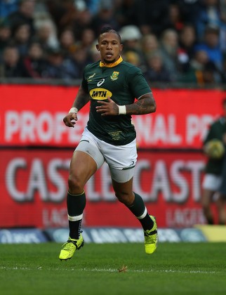 Elton Jantjies South Africa During 2018 Editorial Stock Photo - Stock ...