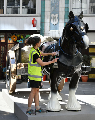 Sarah Lucas Lifesized Bronze Clydesdale Horse Editorial Stock Photo ...