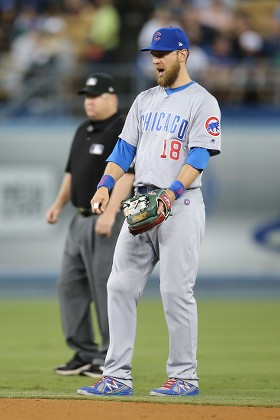 Chicago Cubs Left Fielder Ben Zobrist Editorial Stock Photo - Stock ...
