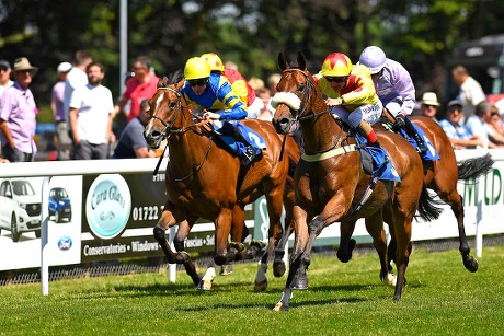 __COUNT__ Whitsbury Manor Stud Bibury Cup Day, Horse Racing, Salisbury ...