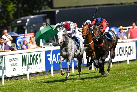 __COUNT__ Whitsbury Manor Stud Bibury Cup Day, Horse Racing, Salisbury ...