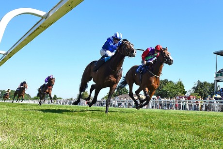 __COUNT__ Whitsbury Manor Stud Bibury Cup Day, Horse Racing, Salisbury ...