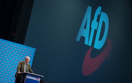 Cochair Parliamentary Group Rightwing Afd Party Editorial Stock Photo ...