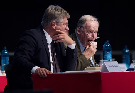 Cochair Parliamentary Group Rightwing Afd Party Editorial Stock Photo ...