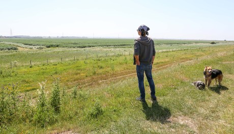 Site Giant Solar Power Farm Proposed Editorial Stock Photo - Stock ...