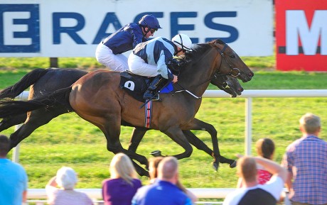 Bellewstown Seize Your Star Wayne Lordan Editorial Stock Photo - Stock ...