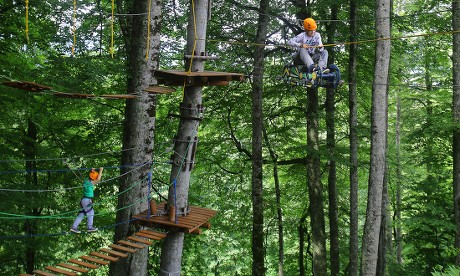 Visitors Climb Tree Climbing Park Rosa Editorial Stock Photo - Stock ...