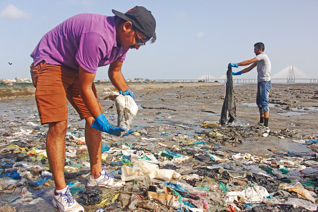 Volunteers Gather Clean Beach Morning Prabhadevi Editorial Stock Photo ...
