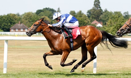 Well Done Fox Ryan Moore Wins Editorial Stock Photo - Stock Image ...