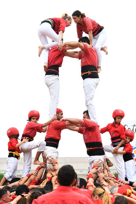 Performers Form Human Towers During Smithsonian Editorial Stock Photo ...