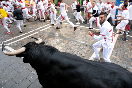 Fighting Bull Ranch Puerto De San Editorial Stock Photo - Stock Image ...
