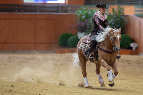 __COUNT__ FEI World Reining Championships, CS Ranch, Givrins ...
