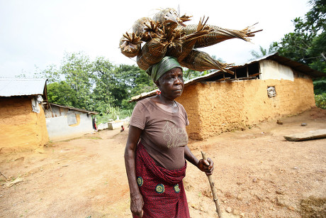 Agriculture in Rural Liberia, Grand Bassa County - 07 Jul 2018 Stock ...