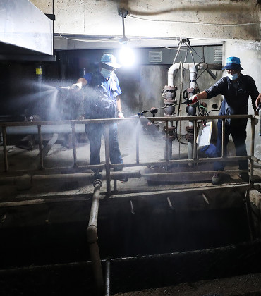 Workers Spray Insecticide Sewage Disposal Facility Editorial Stock ...