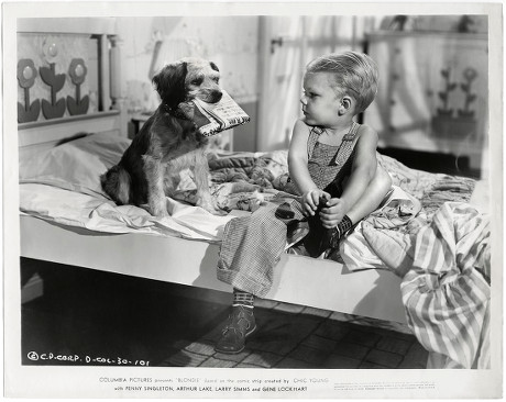 Larry Simms Onset Film Blondie Columbia Editorial Stock Photo - Stock ...