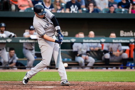 New York Yankees Third Baseman Brandon Editorial Stock Photo - Stock ...