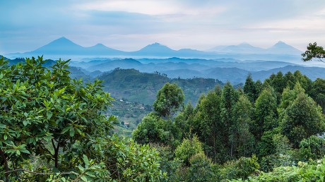 500 Virunga national park Stock Pictures, Editorial Images and Stock ...