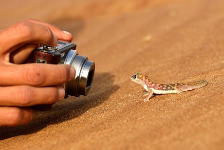 3,000 Funny pose Stock Pictures, Editorial Images and Stock Photos ...