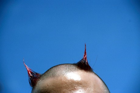 250 Diabolical Stock Pictures, Editorial Images and Stock Photos ...