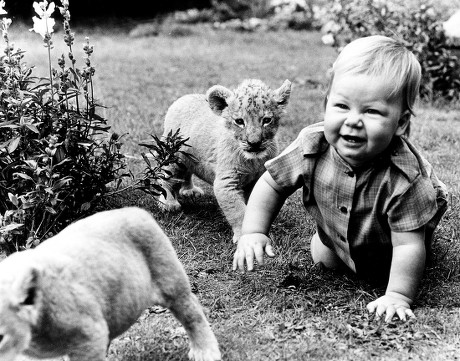 28 Crawl together Stock Pictures, Editorial Images and Stock Photos ...