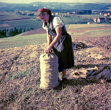 250 Post war labor Stock Pictures, Editorial Images and Stock Photos ...