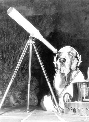 Dog Telescope Ca 1950 Exact Place Editorial Stock Photo - Stock Image ...