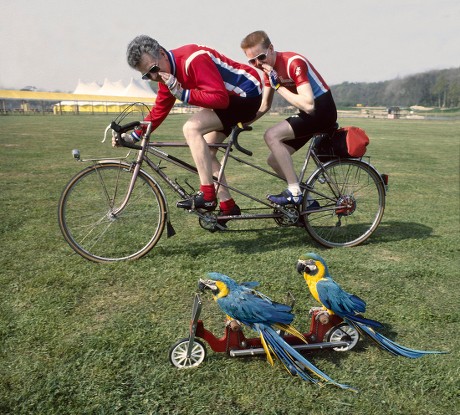 20 Cycling acrobatics Stock Pictures, Editorial Images and Stock Photos ...