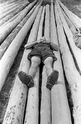 250 Post war labor Stock Pictures, Editorial Images and Stock Photos ...