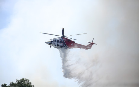 View Griffith Park Fire Fire Prompted Editorial Stock Photo - Stock ...