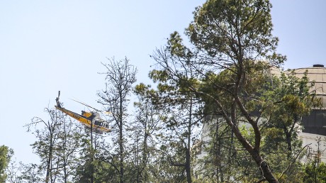 View Griffith Park Fire Fire Prompted Editorial Stock Photo - Stock ...