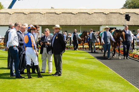 Parade Ring 2nd Race Editorial Stock Photo - Stock Image | Shutterstock