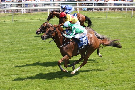 Mr Lupton 5 Ridden By Jockey Editorial Stock Photo - Stock Image ...