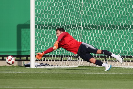 French Goalkeeper Captain Hugo Lloris Editorial Stock Photo - Stock ...