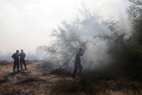 Israeli Soldiers Try Extinguish Forest Fire Editorial Stock Photo ...