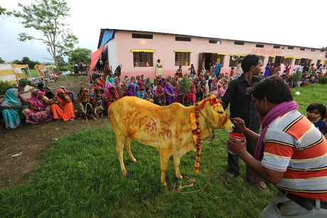 Villagers Dance They Participate Marriage Procession Editorial Stock ...