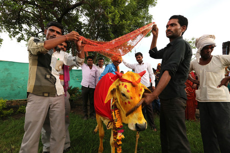 Villagers Perform Rituals They Arrange Marriage Editorial Stock Photo ...
